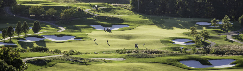 More Information Pricing Create a Group Contact Us Member Log In